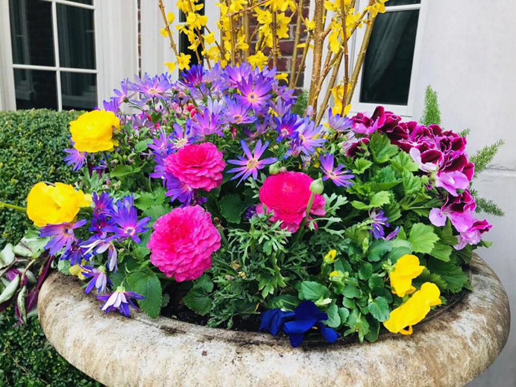 Early Spring in the Garden - DesignNJ